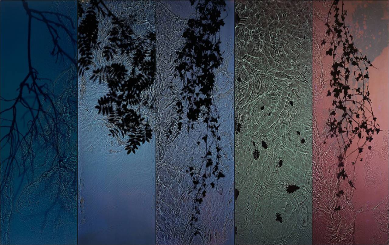 Susan Derges - Alchetron, The Free Social Encyclopedia