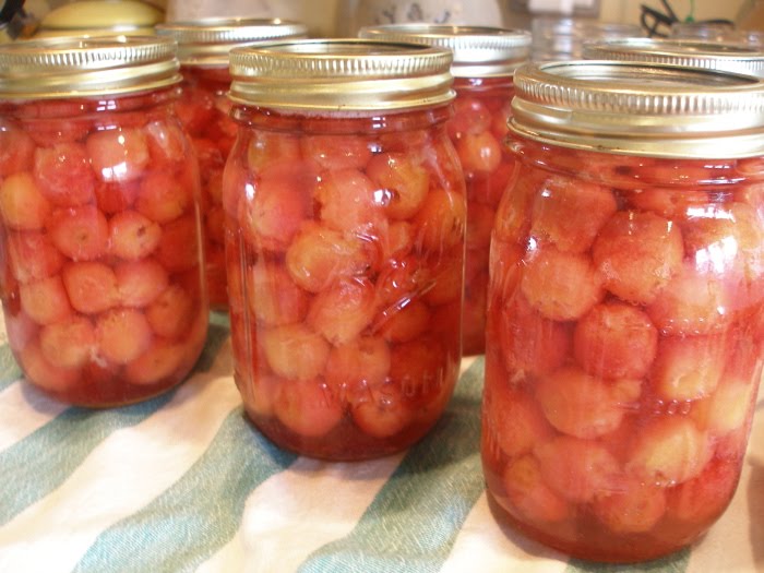 Thy Hand Hath Provided: Canning Prep and Method