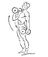 Exercitii de baza pentru muschiul biceps brahial ~ MEDSPORT FITNESS ...