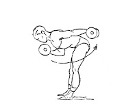 Exercitii de baza pentru muschiul triceps brahial ~ Sport si Sanatate