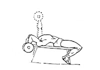 Exercitii de baza pentru muschiul triceps brahial ~ MEDSPORT FITNESS ...