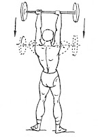 Exercitii de baza pentru muschiul triceps brahial ~ Sport si Sanatate