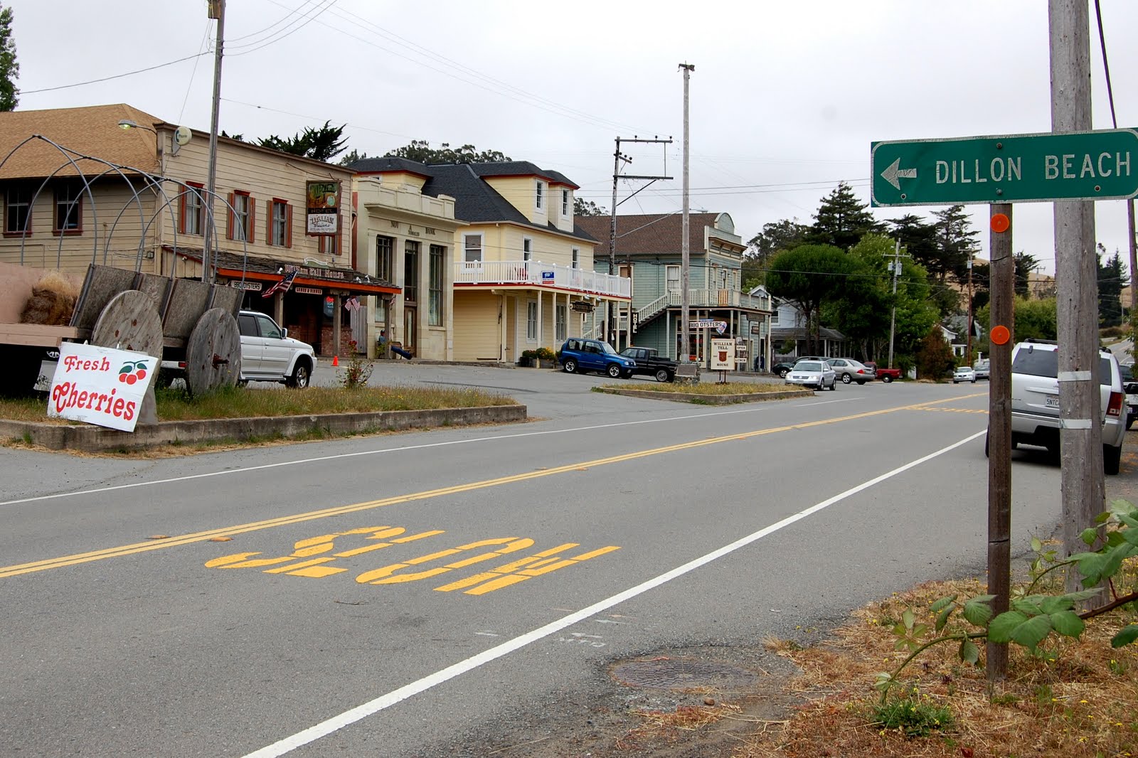 The Adventures of Sammie and Avalon: Daytrip to Dillon Beach
