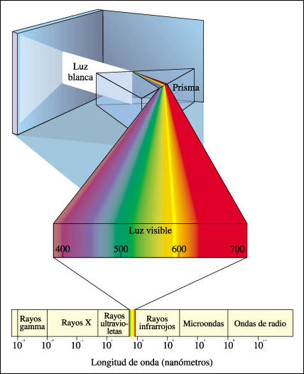 TEMAS SELECTOS DE BIOFISICA: VISIÓN