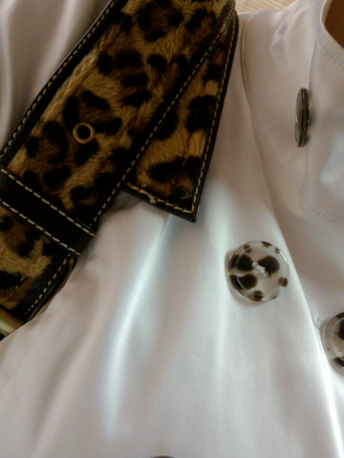 Restraining Jacket ? - My every day wear