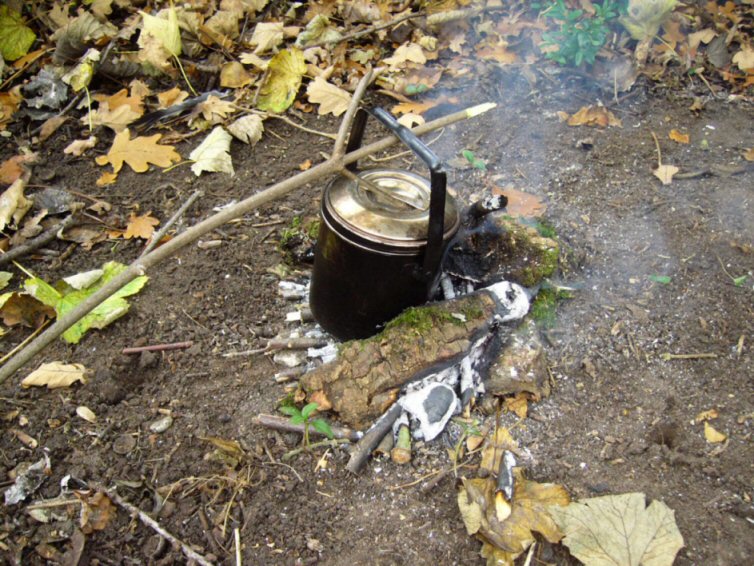 Natural/Wilderness living skills - Welcome to my Blog: Poplar, wet ...