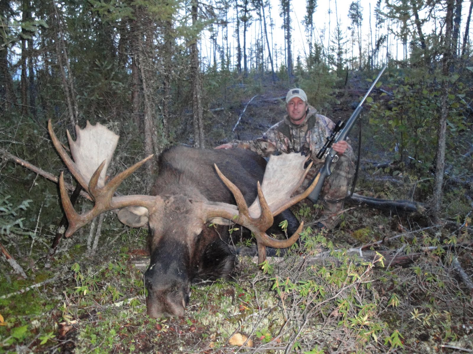 Jason's Worldwide Adventures: 54.5 inch Manitoba Moose at Golden Eagle ...