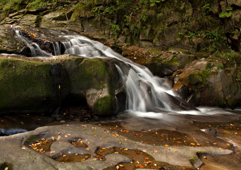 pharaonx: ape curgatoare