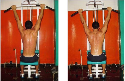 VivePilates: Los Movimientos de la Escápula