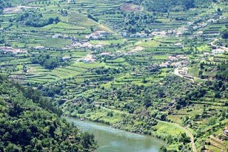 Família Cortez: Barqueiros