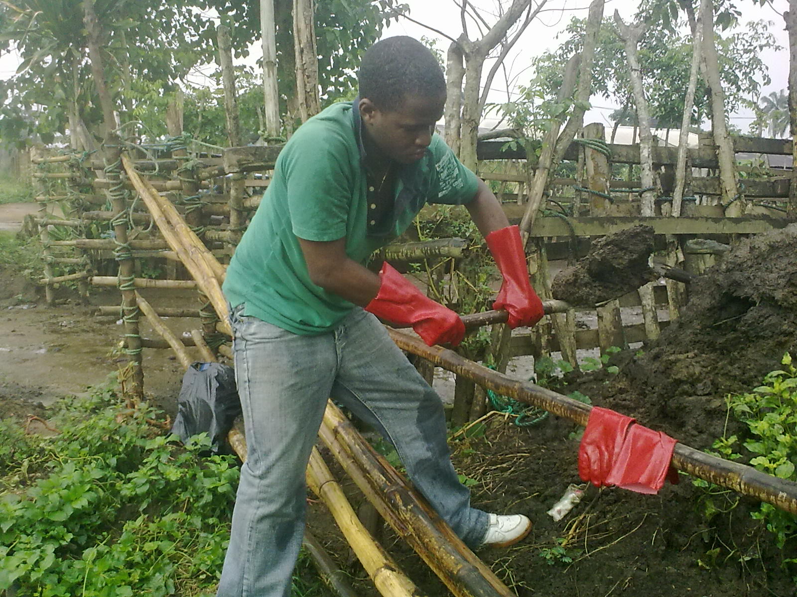 Building a Prototype Biogas Digester for Cooking: Fabrication and ...
