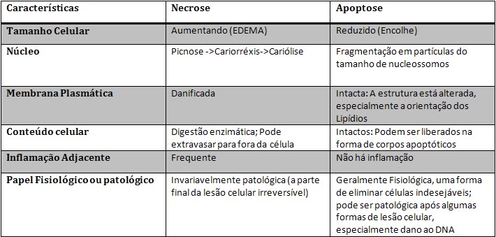 Patologia é Aqui: Características da necrose e da Apoptose