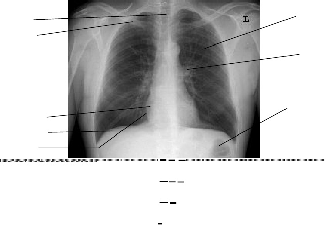 Radiology Interest Group - University of Saskatchewan