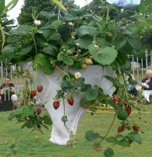 Make it and Mend it: Blooming bras and pants