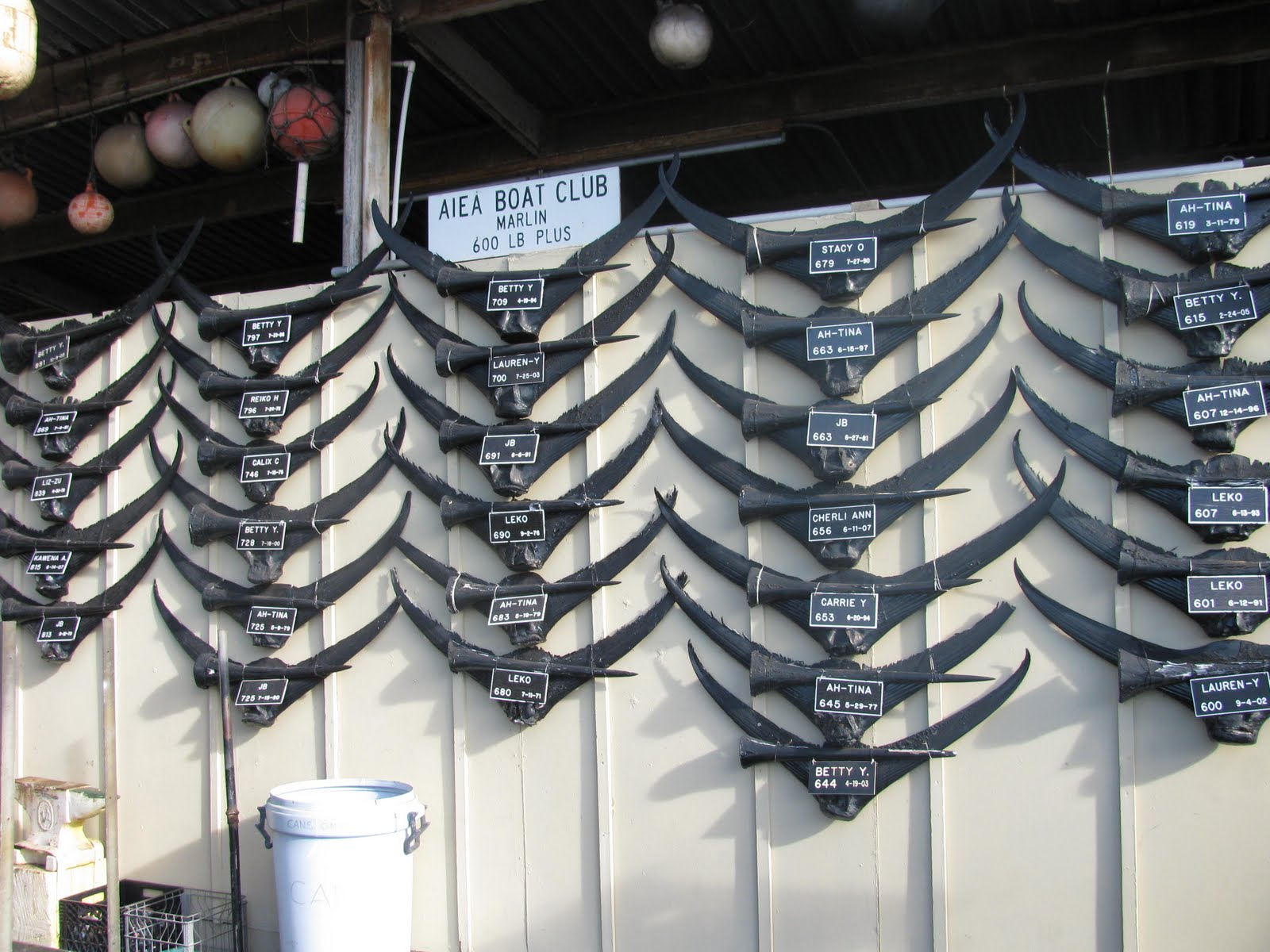 Sumida Watercress Farm