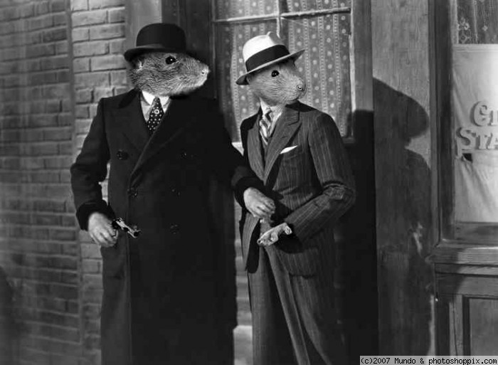 XMASTIME: The Rat Mob