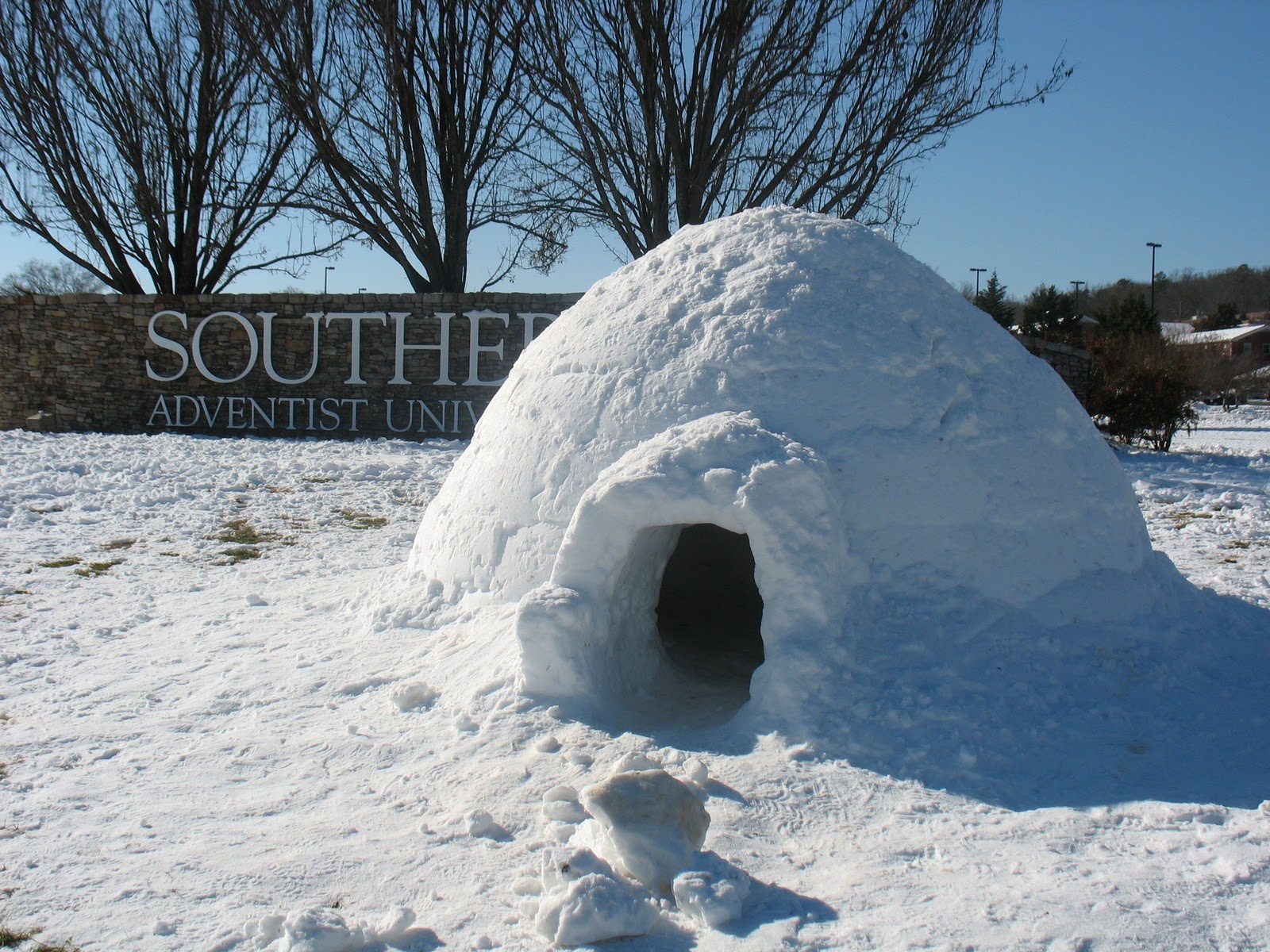 meek.: Snow Me Impressed