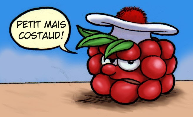 BloG'aucelm: Petit Pimousse au rapport!