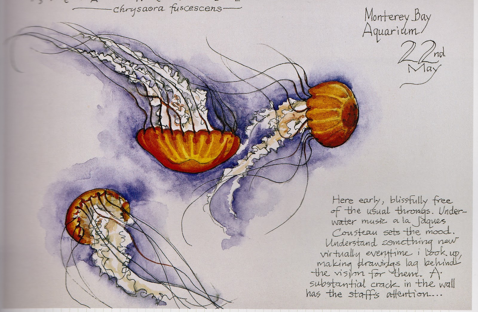 Understanding Drawing 2010: September 2010