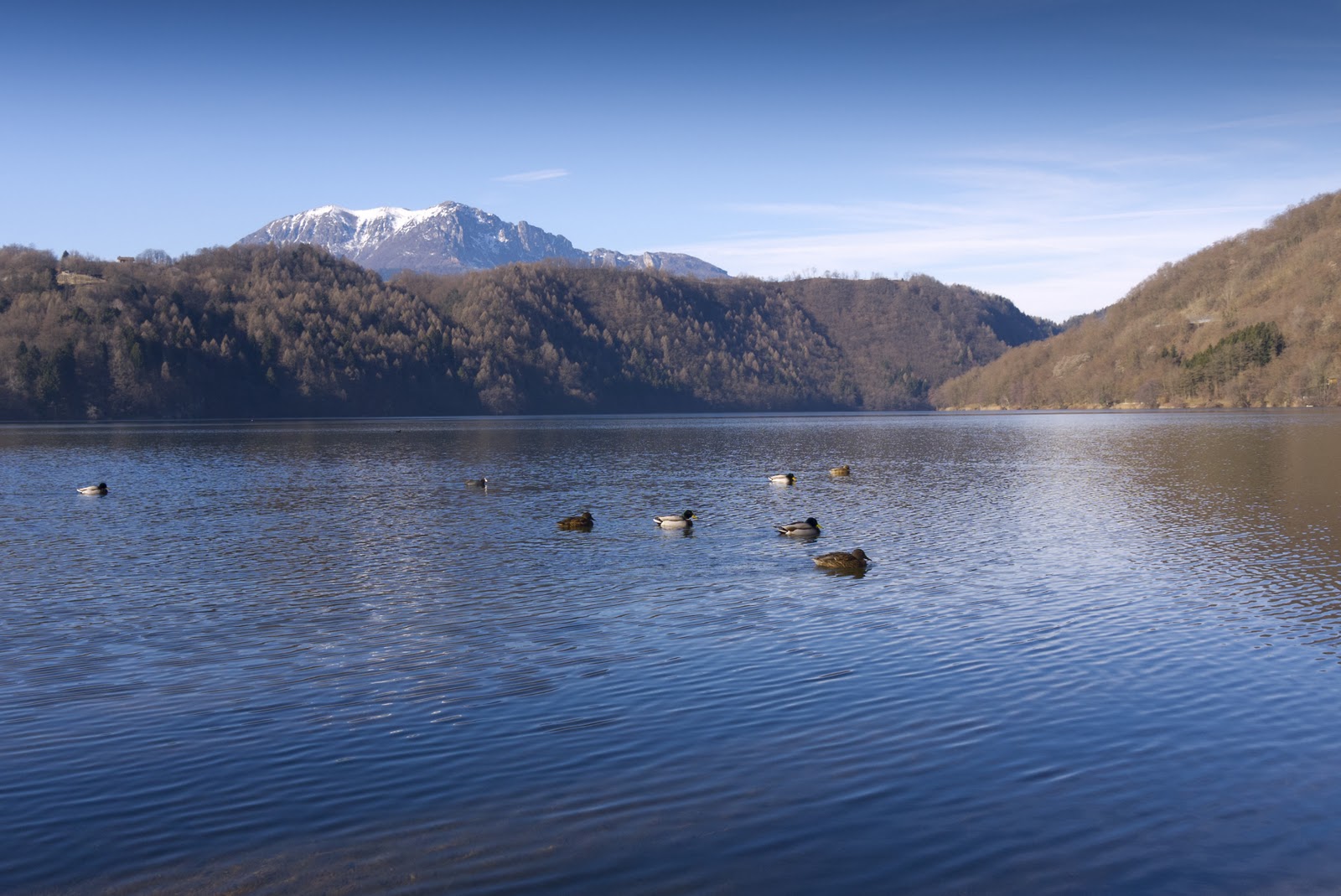 cipputiblog: D'inverno attorno al lago di Levico
