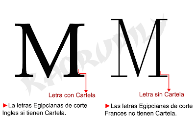 Diseño Tipografico: Anatomia De Las Letras