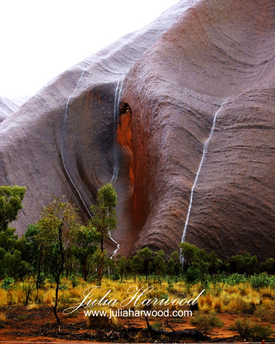 "Healing Arts": Rare Phenomenum, Uluru in the Rain