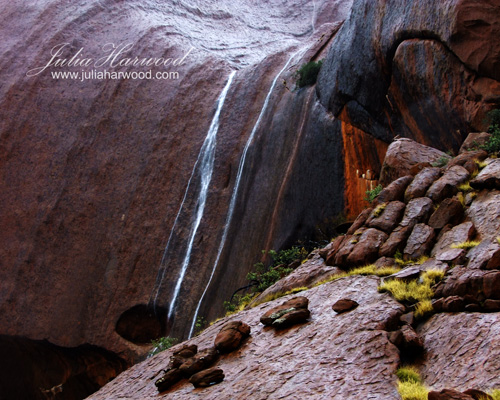 "Healing Arts": Rare Phenomenum, Uluru in the Rain