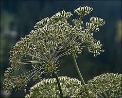 NaturaLand: 02/06/11