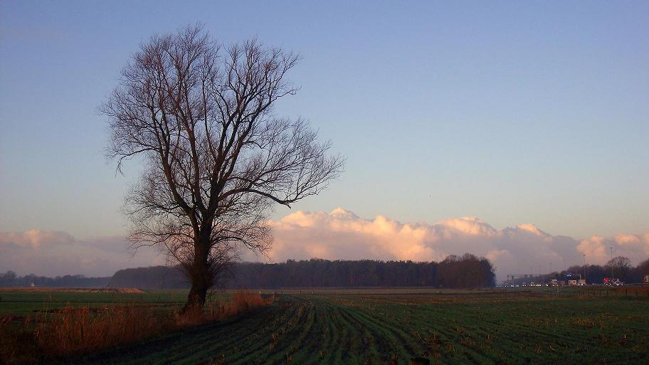 FotoFietsMargreet: Mooie ochtend