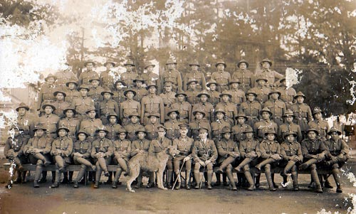 Cook Islands Library and Museum Society: Call of Empire