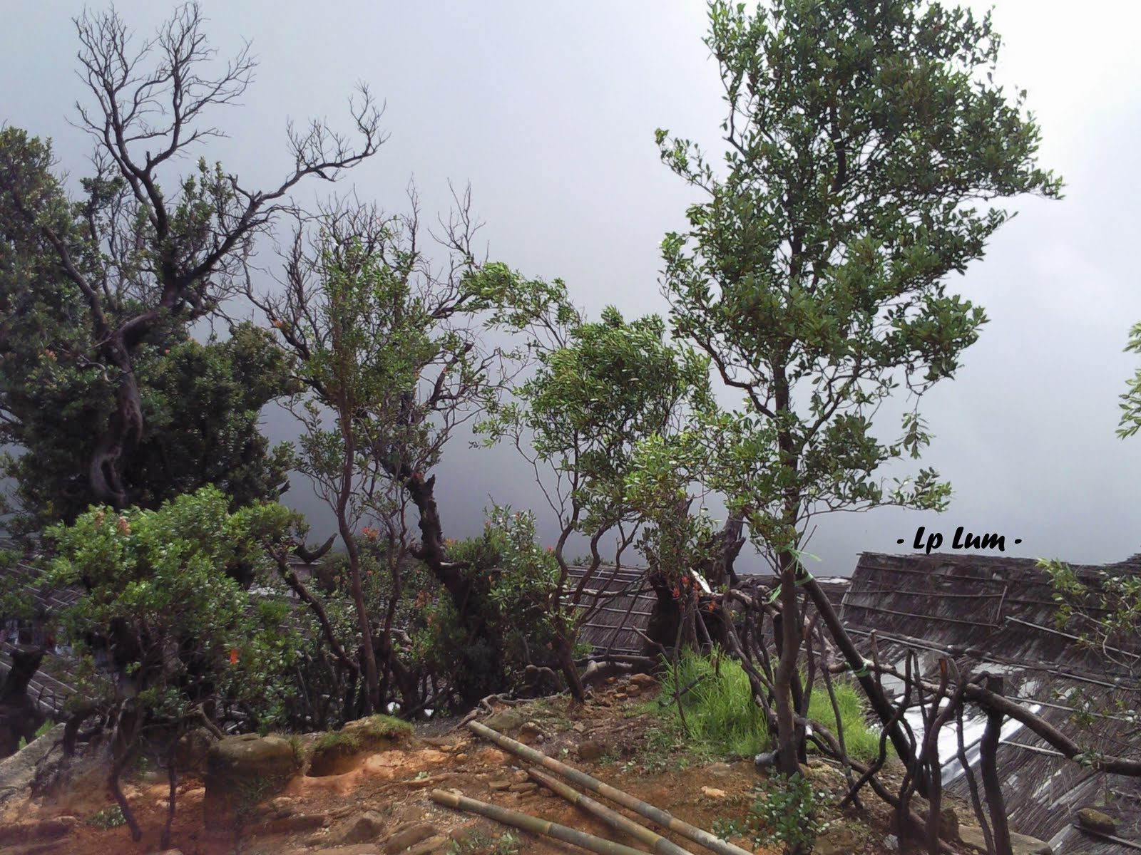 ~ D StoRy oF nUmb GurL'z ~: Catitan Perjalanan Ke Bandung Indonesia ...