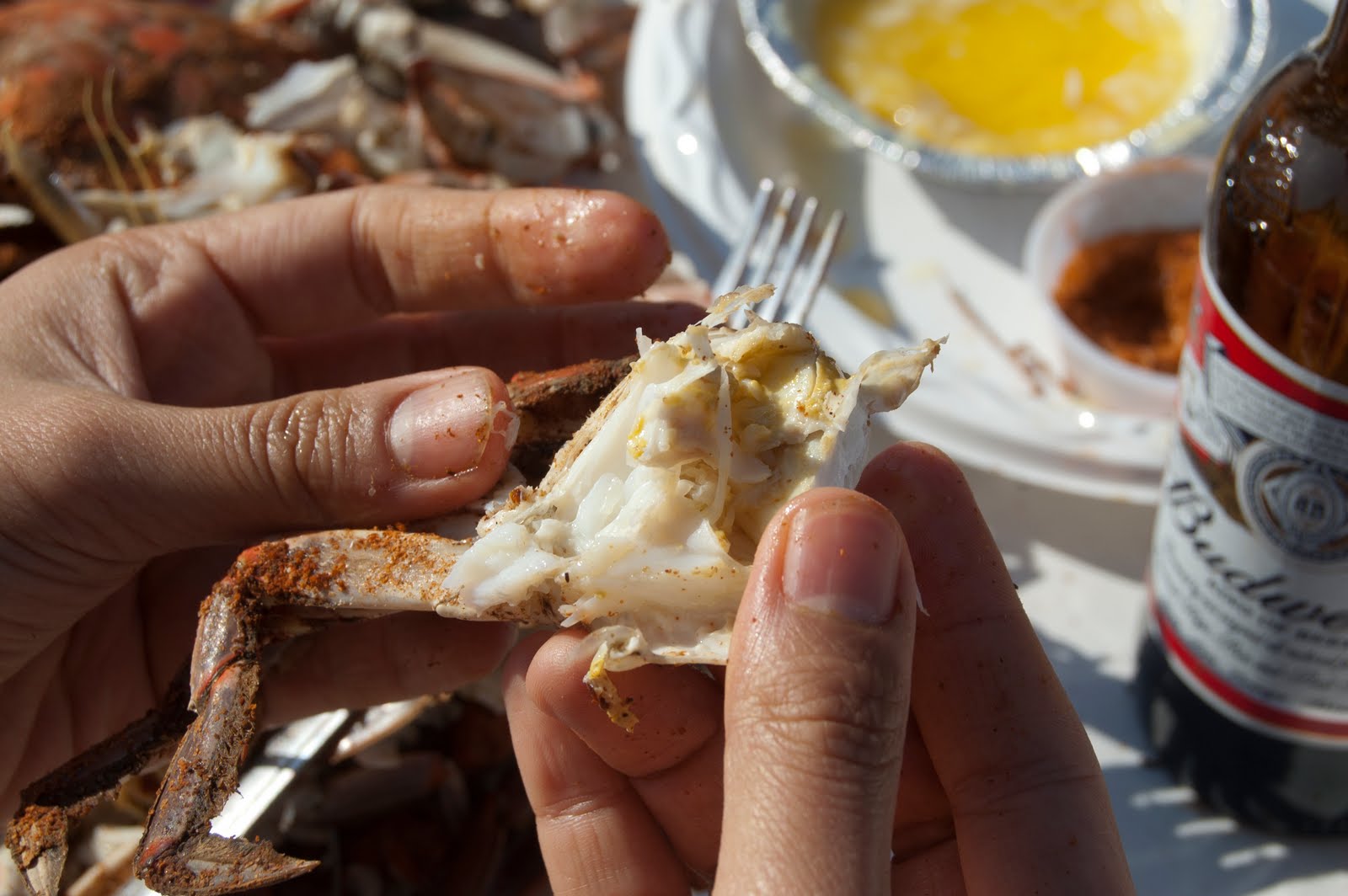 Destination Eats: Maryland Blue Crab in Chesapeake Bay