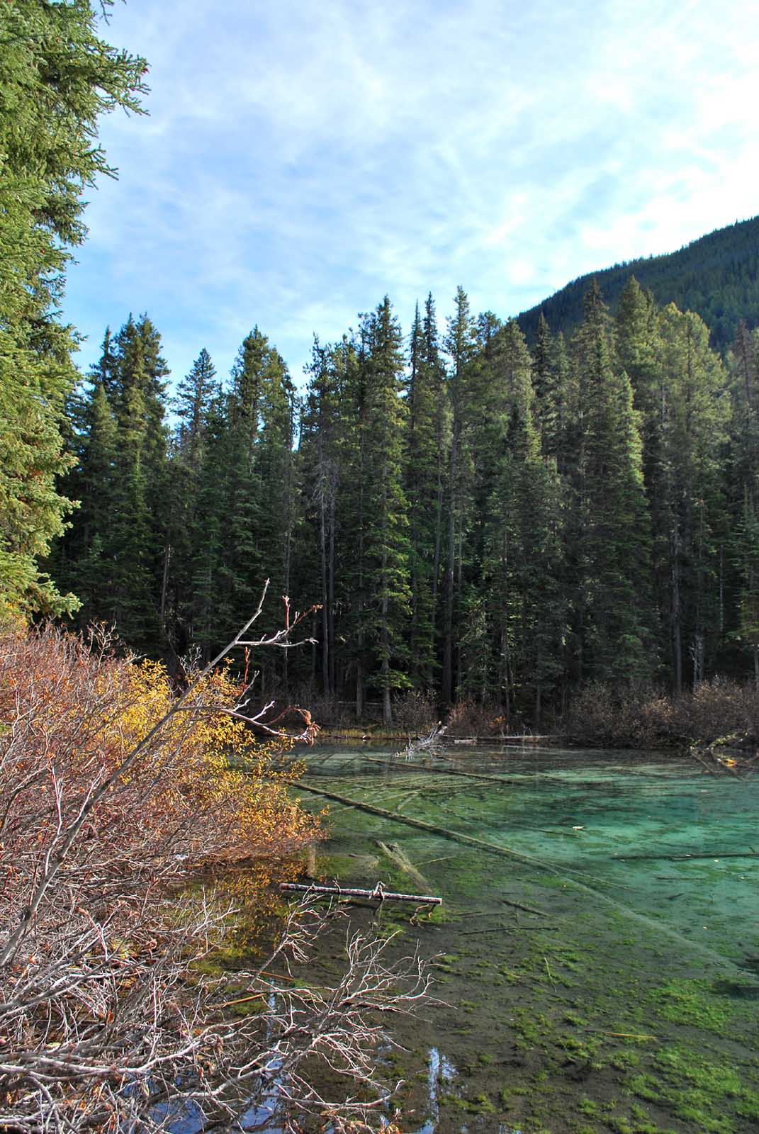 outside of the bubble: Olive Lake BC