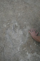 San Gabriel River of Texas: More Dino Tracks on the San Gabriel