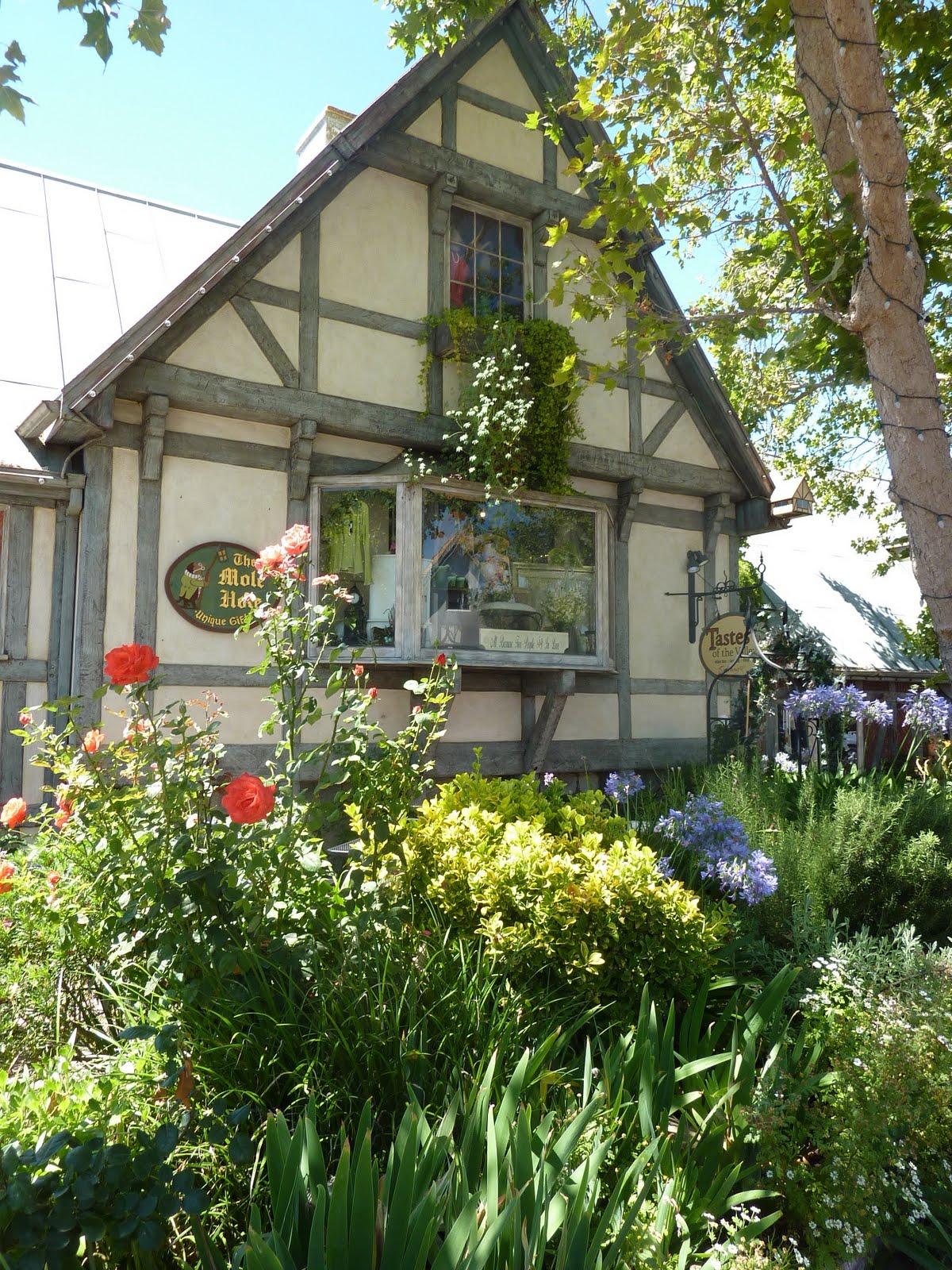 BROOKE, JAKE, BAYLA & EVAN: Crump Reunion 2010 - CALIFORNIA