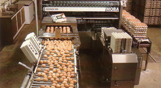 Moba Thailand: MOPACK 100