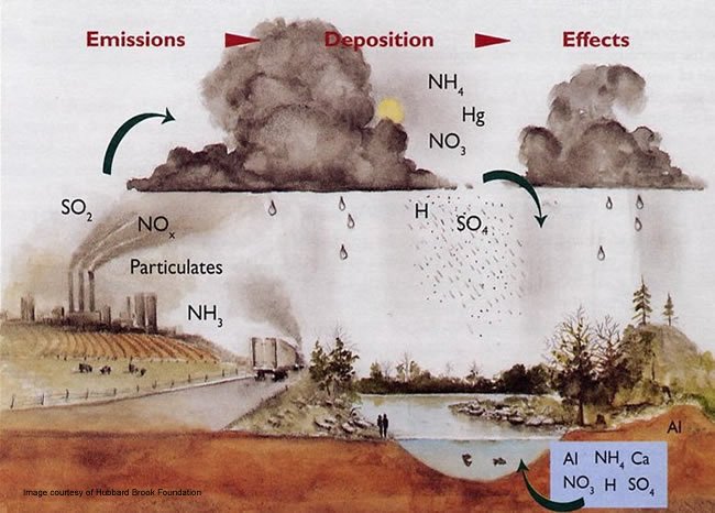 WORLD CLIMATE CHANGE: Acid Rain and its Effect