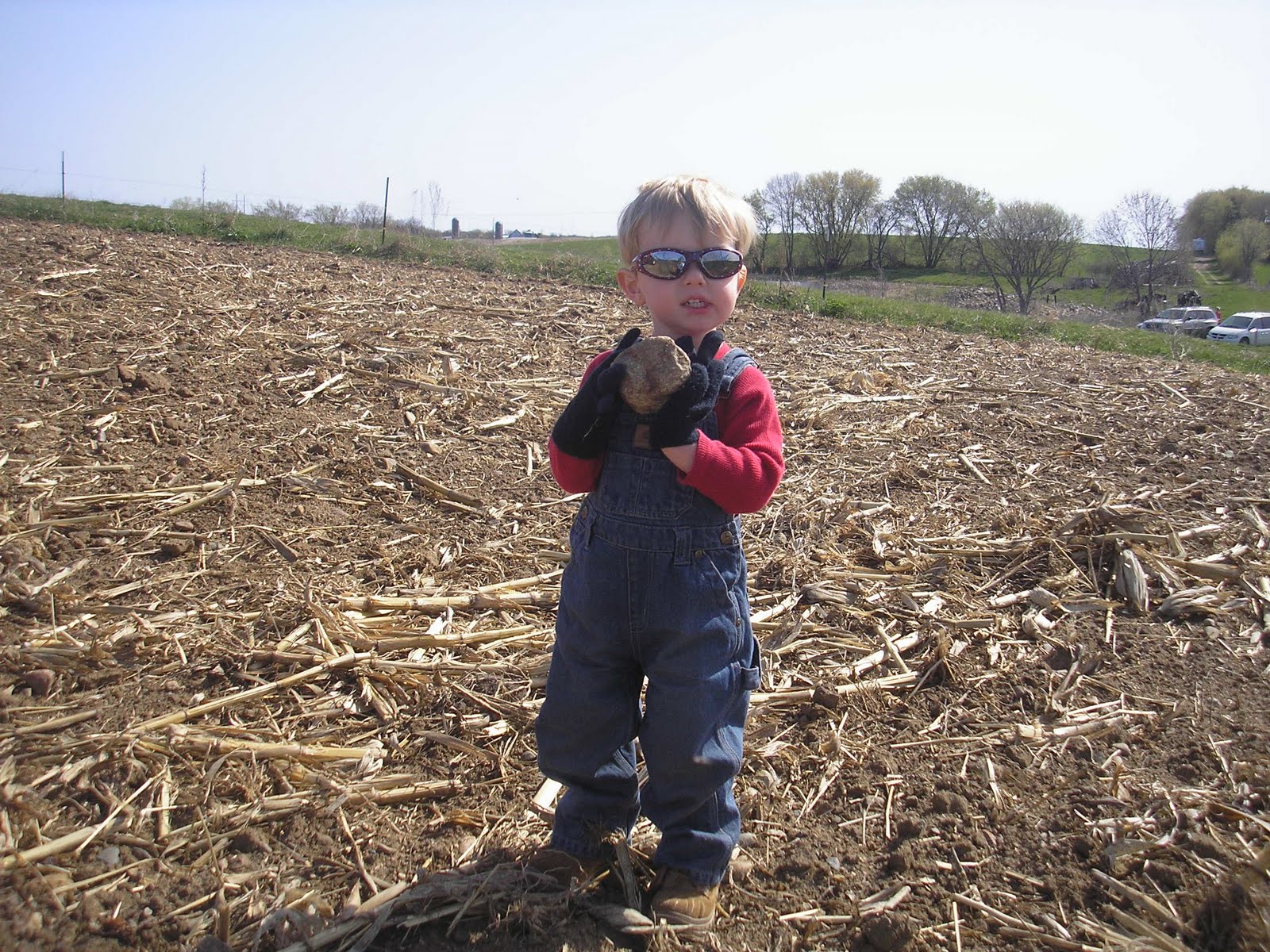 Stang Family of Five: A Great Day Out On The Farm!!!!