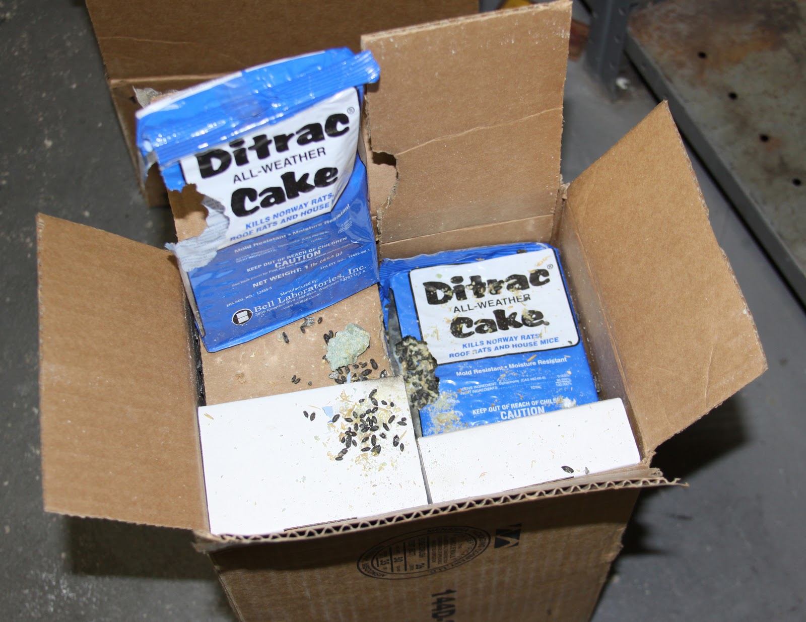 NY Pest Control & Bed Bug Exterminating Blog of Standard Exterminating