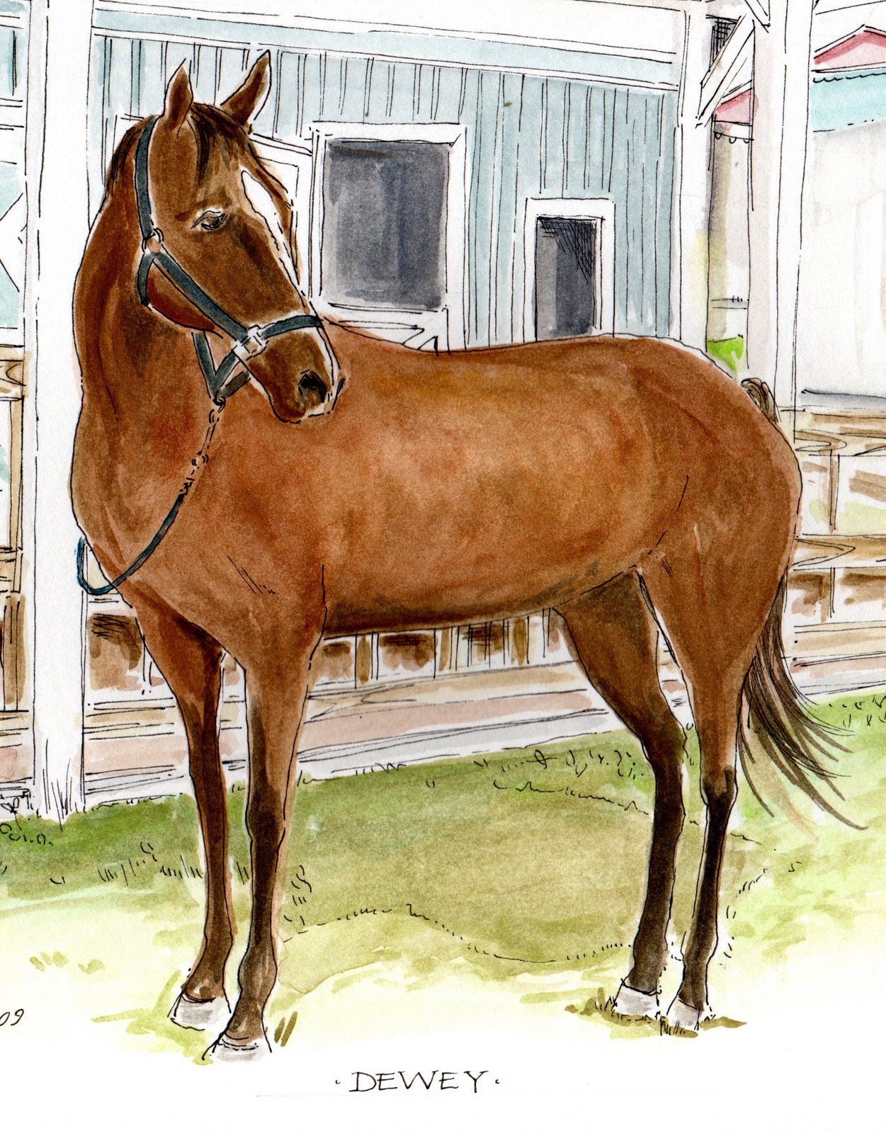 Let the Tide Pull Your Dreams Ashore: Equestrian Chic