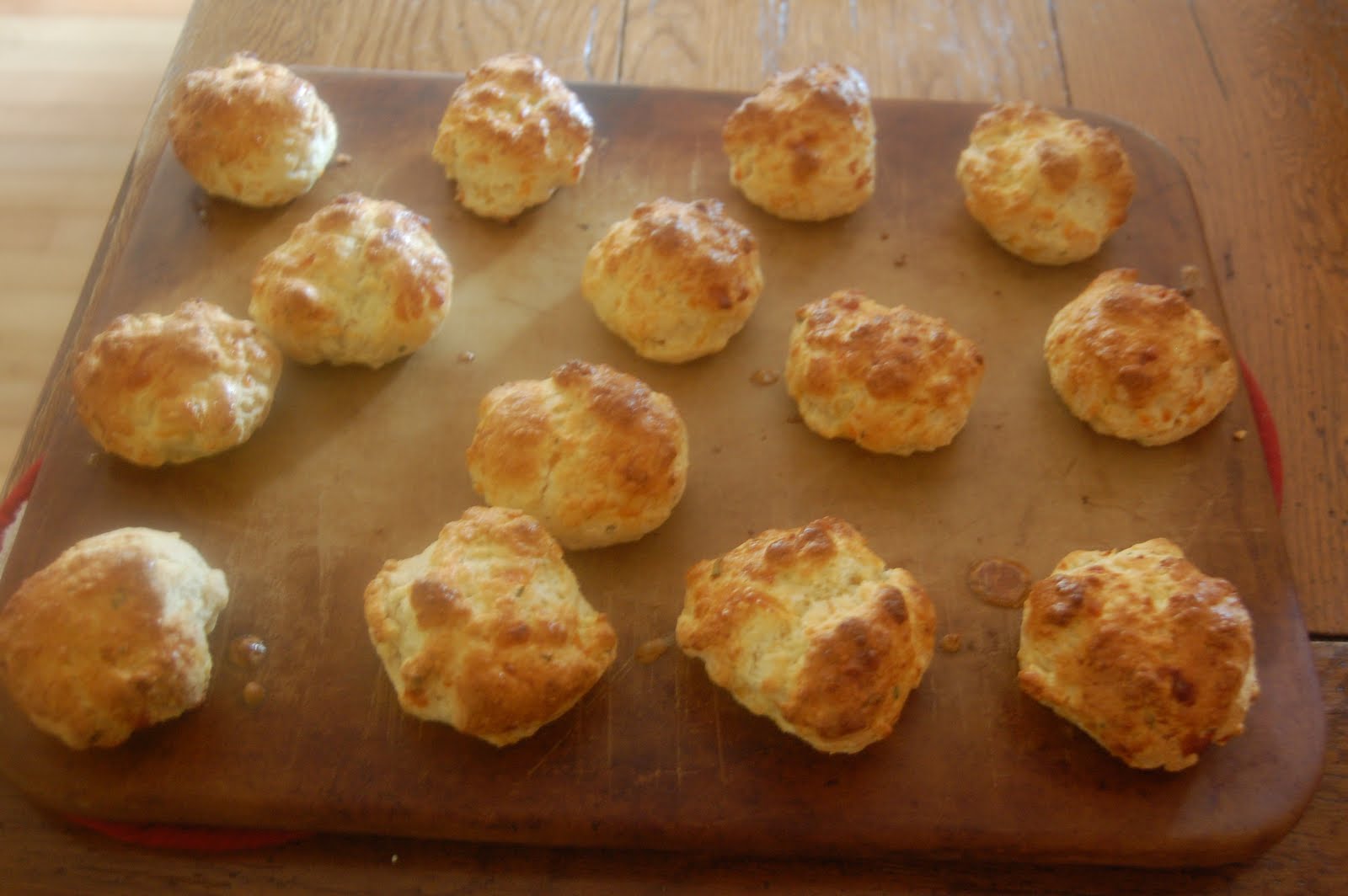 KnitOne,PearlOnion: Biscuits