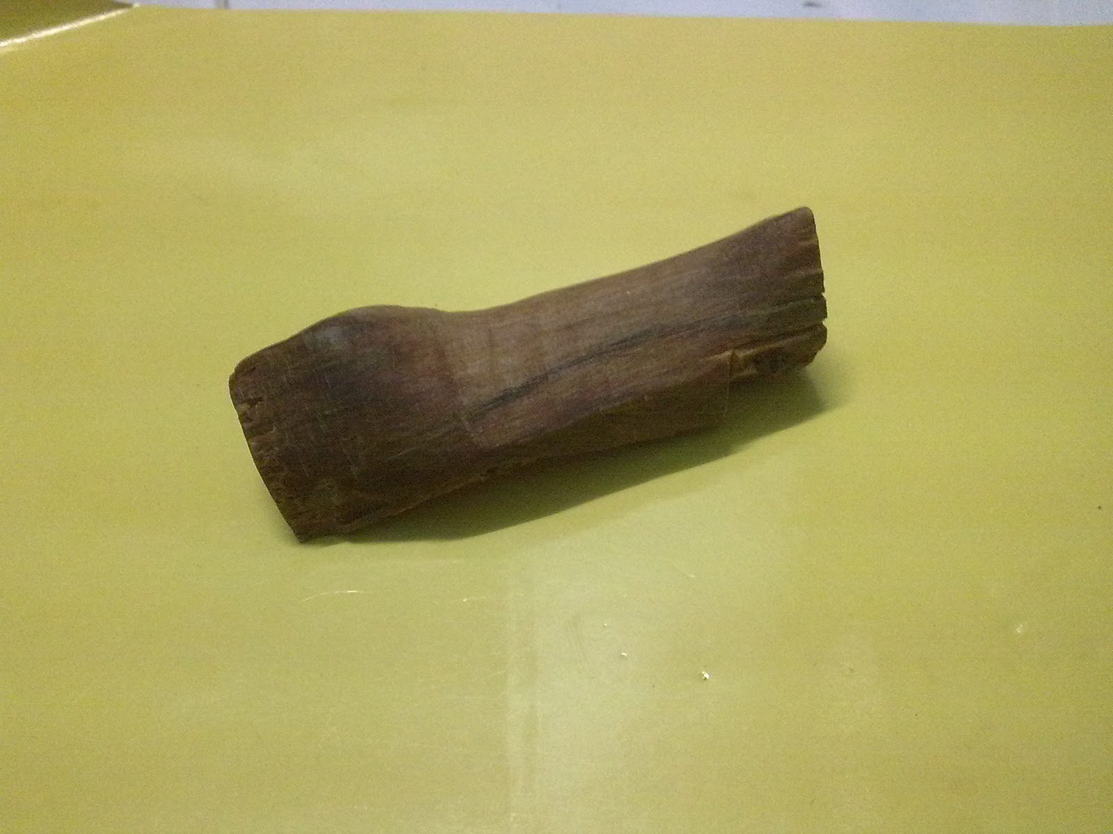 Permata Alam: KHASIAT KAYU RAJA KAYU