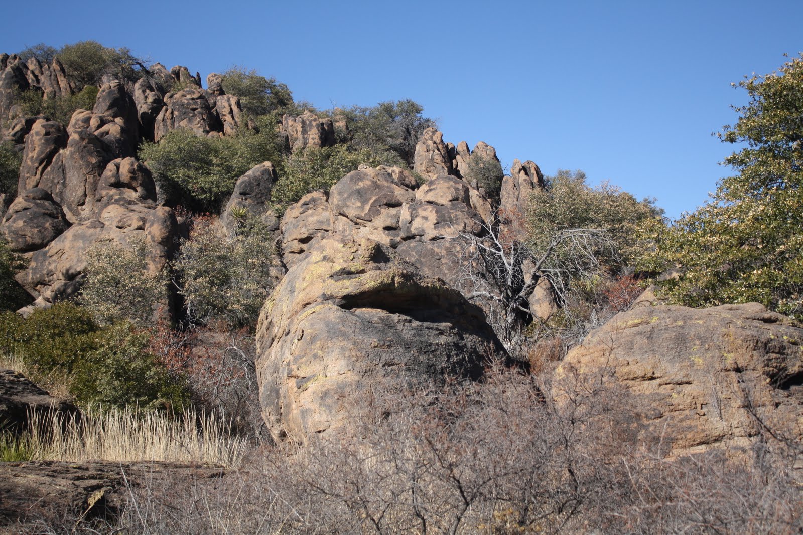 Travels with Suzi: Taming Frontiers