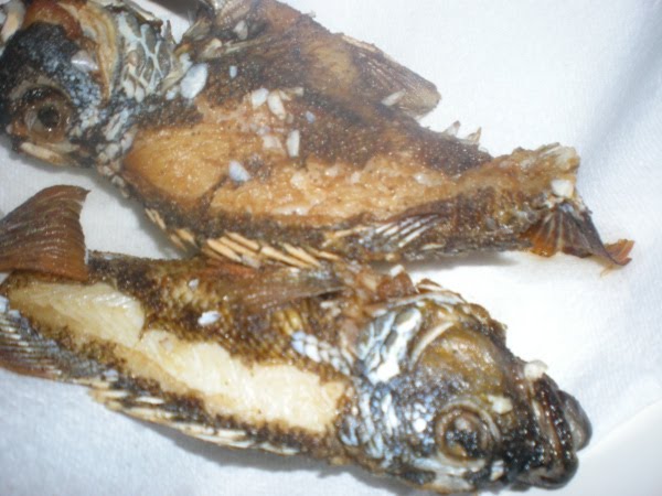 Kauai Fine Art by Marionette Taboniar: Kauai Fish Tales