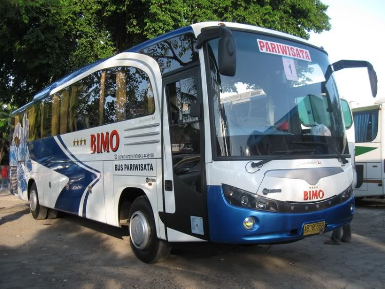 bis generasi baru: bis di indonesia