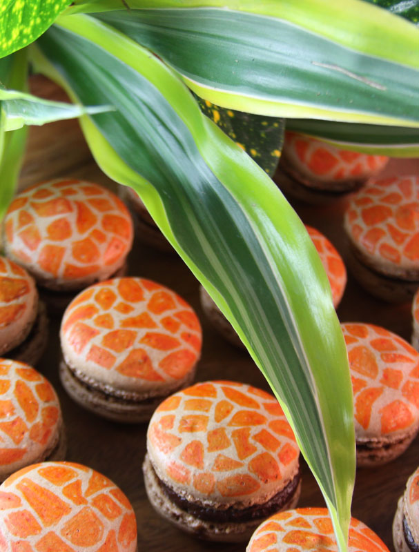 Seattle Pastry Girl: Out of Africa or Take a Walk on the Wild Side Mac ...