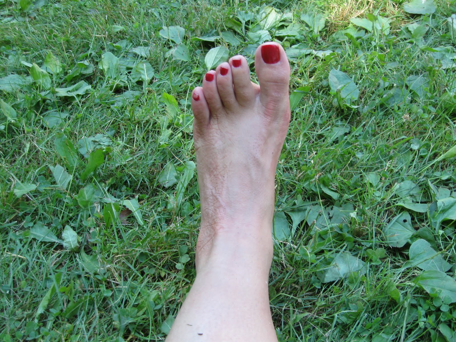 The Accidental Athlete: Road Rode or Rode Road