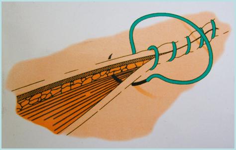 Amey's Blog: Apr 6, 2010