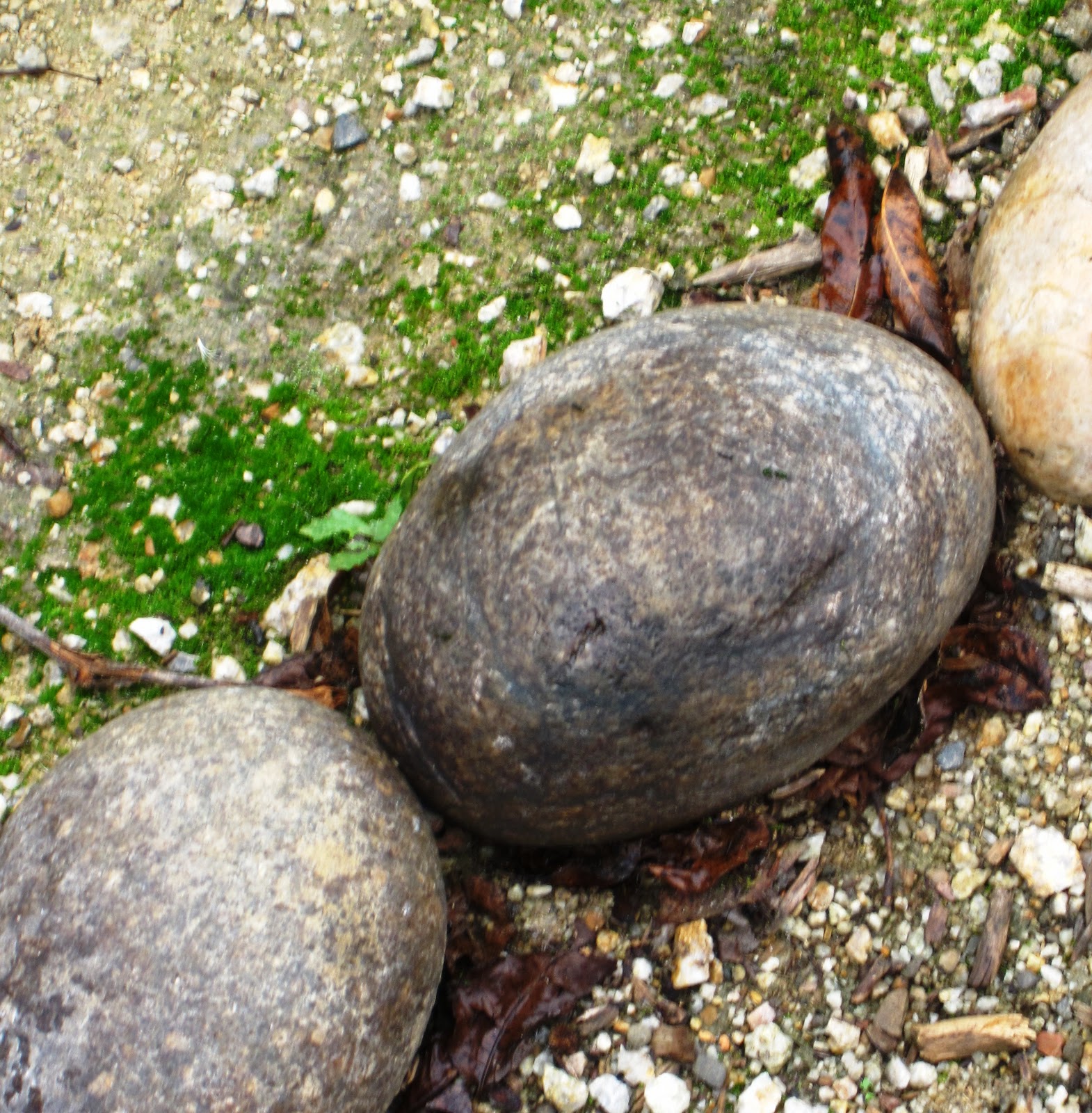 Silver Linings 4 ME: SOULFUL ROCKS...