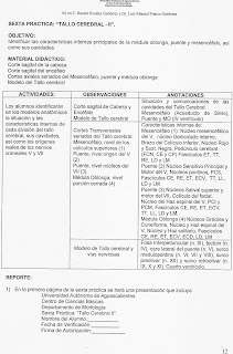 Juan Roman Argote Campos: Practica 7